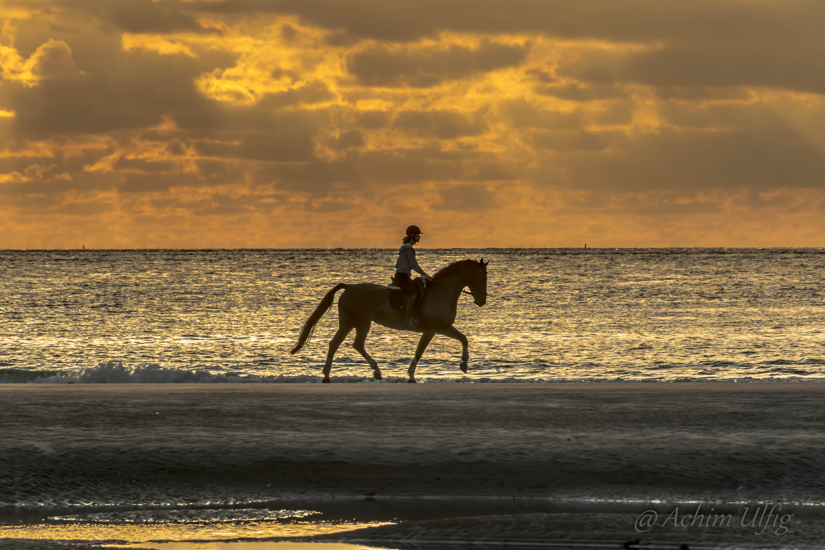 Reiterin am Strand Foto & Bild | landschaft, meer & strand, ameland ...