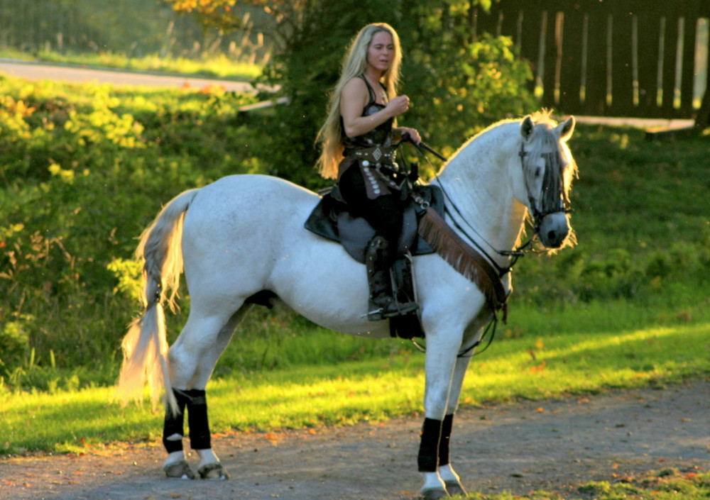 Reiterin im Gegenlicht Foto & Bild | kunstfotografie & kultur ...