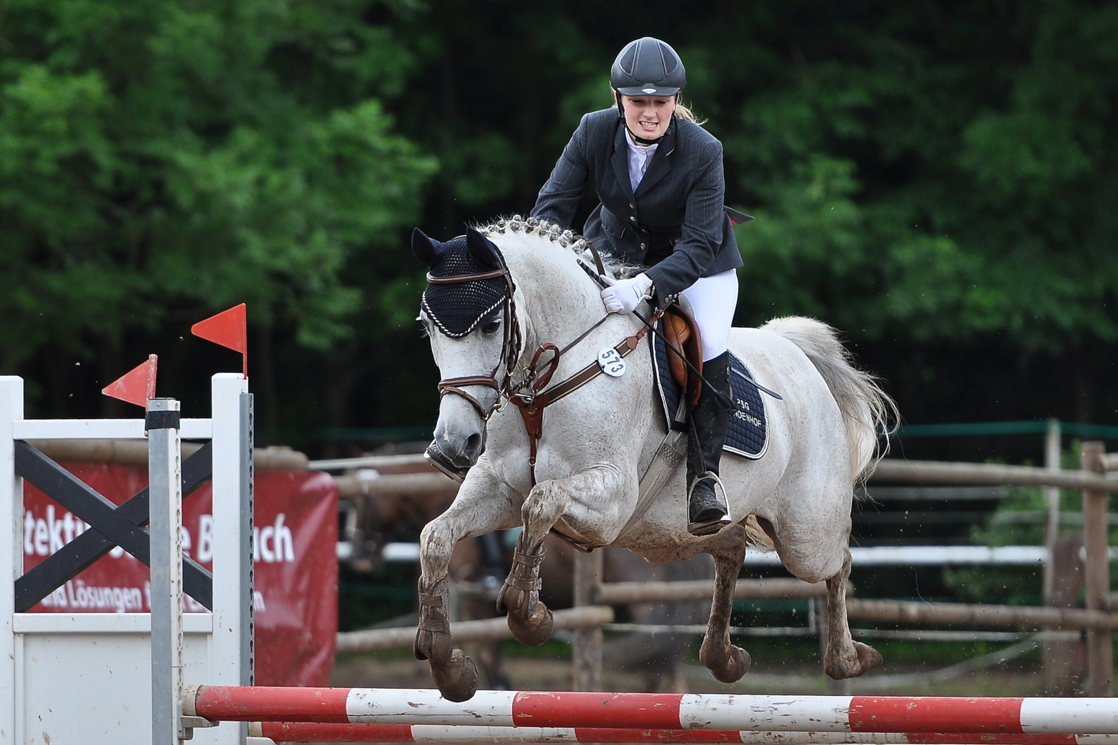 Reitturnier (3) Foto & Bild | sport, sport mit tieren, pferdesport ...