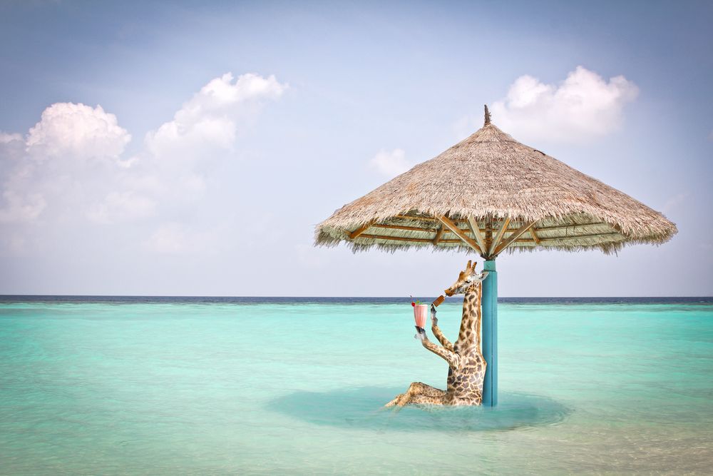 Relax Foto & Bild | fotomontage, composing , digiart challenge Bilder auf fotocommunity