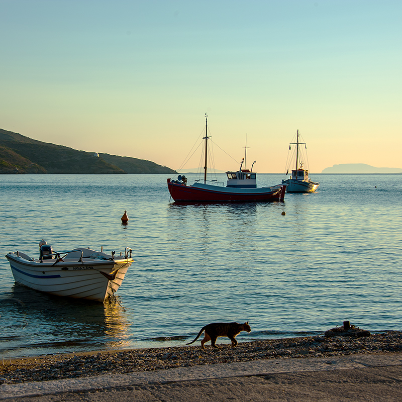 Relaxen... Foto & Bild | europe, greece, cyclades kykladen Bilder auf ...
