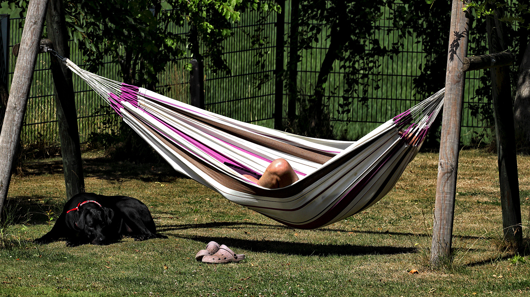 Relaxen Foto & Bild | erwachsene menschen, tiere, haustiere Bilder auf ...