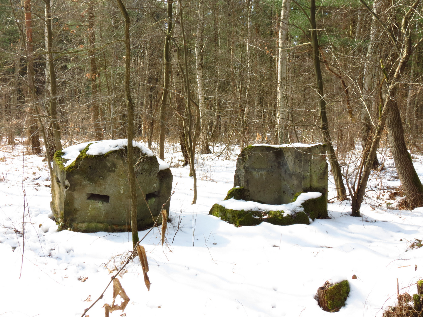 Relikt of WW2 Foto & Bild | archiv - kritik am bild, kritik am bild ...