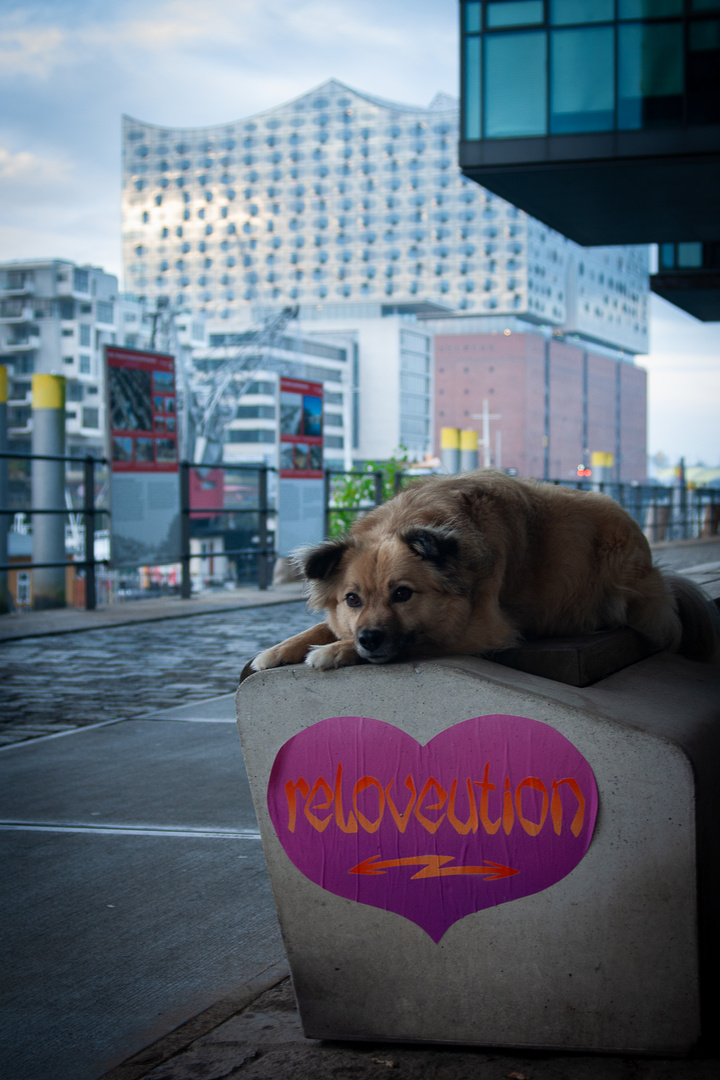 Reloveution - Hafencity Photowalk Foto & Bild | anfängerecke ...