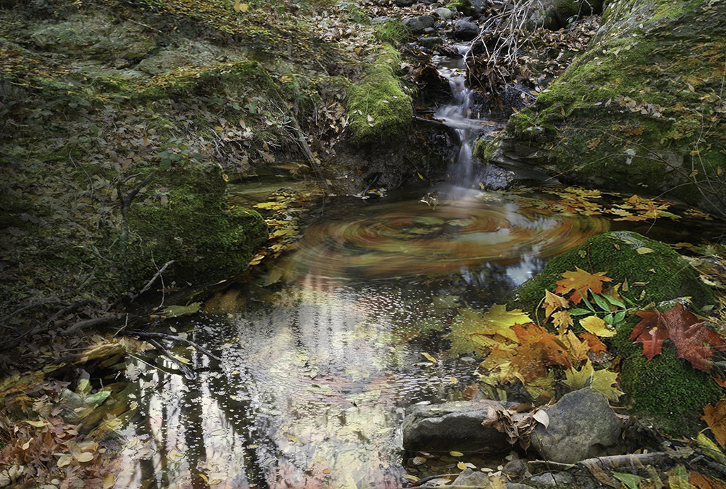 Remanso Imagen & Foto | paisajes, bosques, mis fotos Fotos de fotocommunity