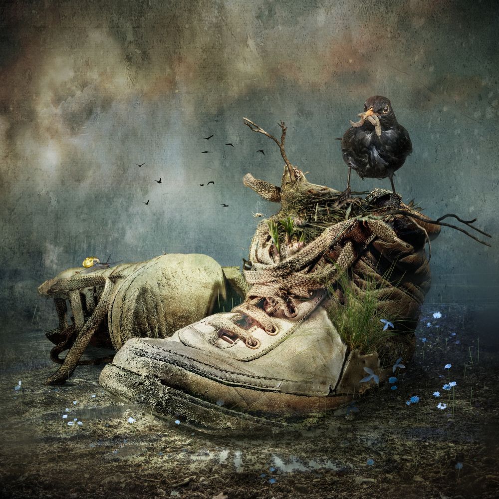 renature Foto & Bild | fotomontage, composing , composing Bilder auf fotocommunity