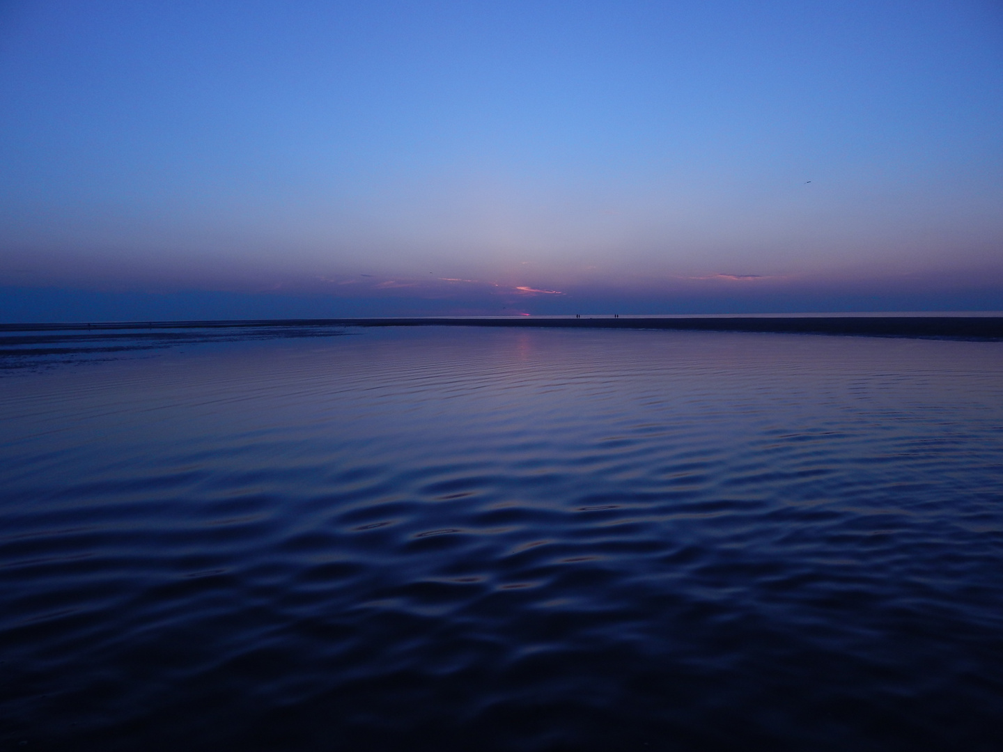 Renesse Strand Foto & Bild | landschaft, meer & strand, natur Bilder ...