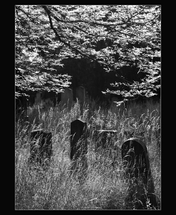 REQUIESCAT IN PACEM #4 Foto & Bild | architektur, friedhöfe, jüdische ...