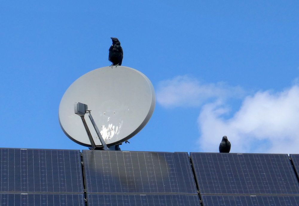 respektlos Foto & Bild | stillleben, projekte, zufällige arrangements ...