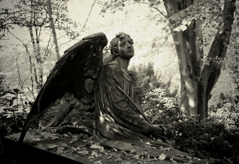 Resting Angel Foto & Bild | architektur, friedhöfe, engel und co ...
