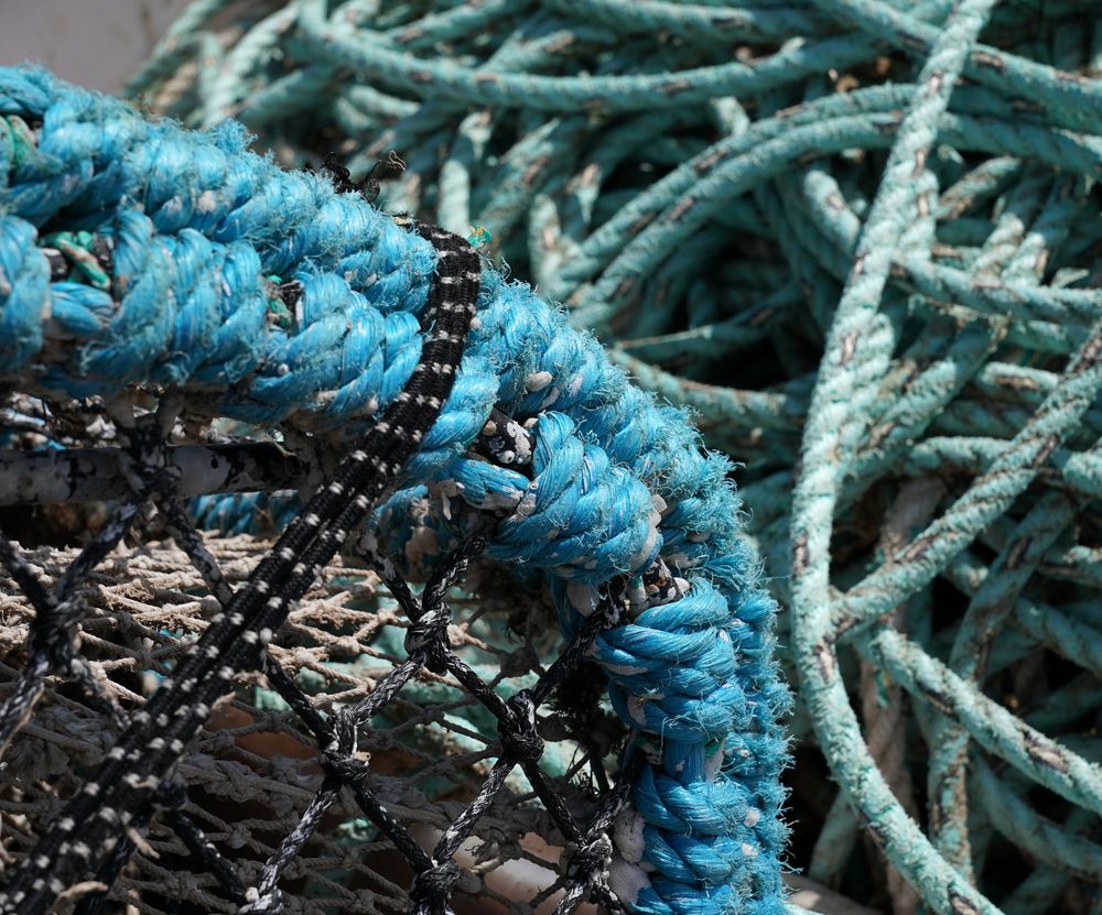 Reuse&Leinen Foto & Bild | schottland, fischfang, reusen Bilder auf ...