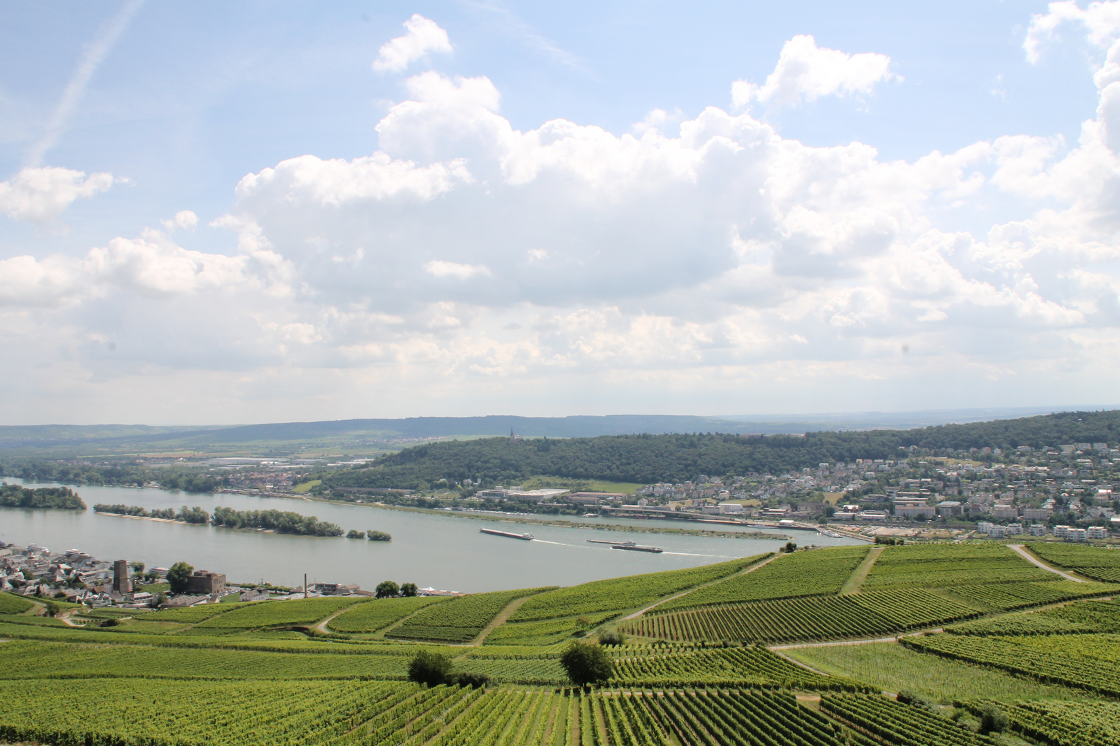 Rhein und Wein Foto & Bild | natur, landschaft Bilder auf fotocommunity