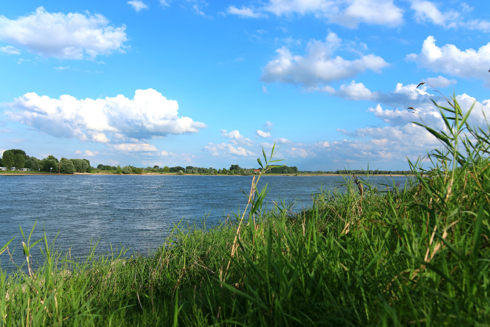 Rhein_4 Foto & Bild | motive, natur, rhein Bilder auf fotocommunity