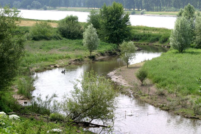 Rheinaue Foto & Bild | deutschland, europe, nordrhein- westfalen Bilder ...