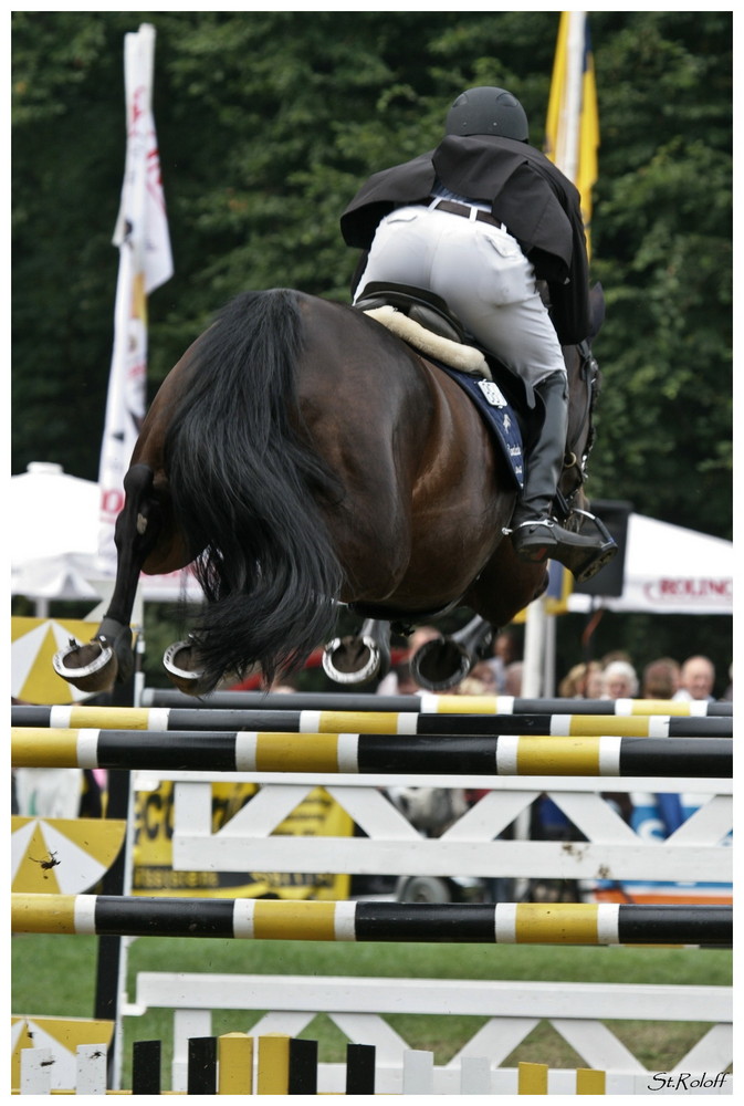 Rheine-Wadelheim S-Springen mal den Flug von hinten Foto & Bild | sport ...