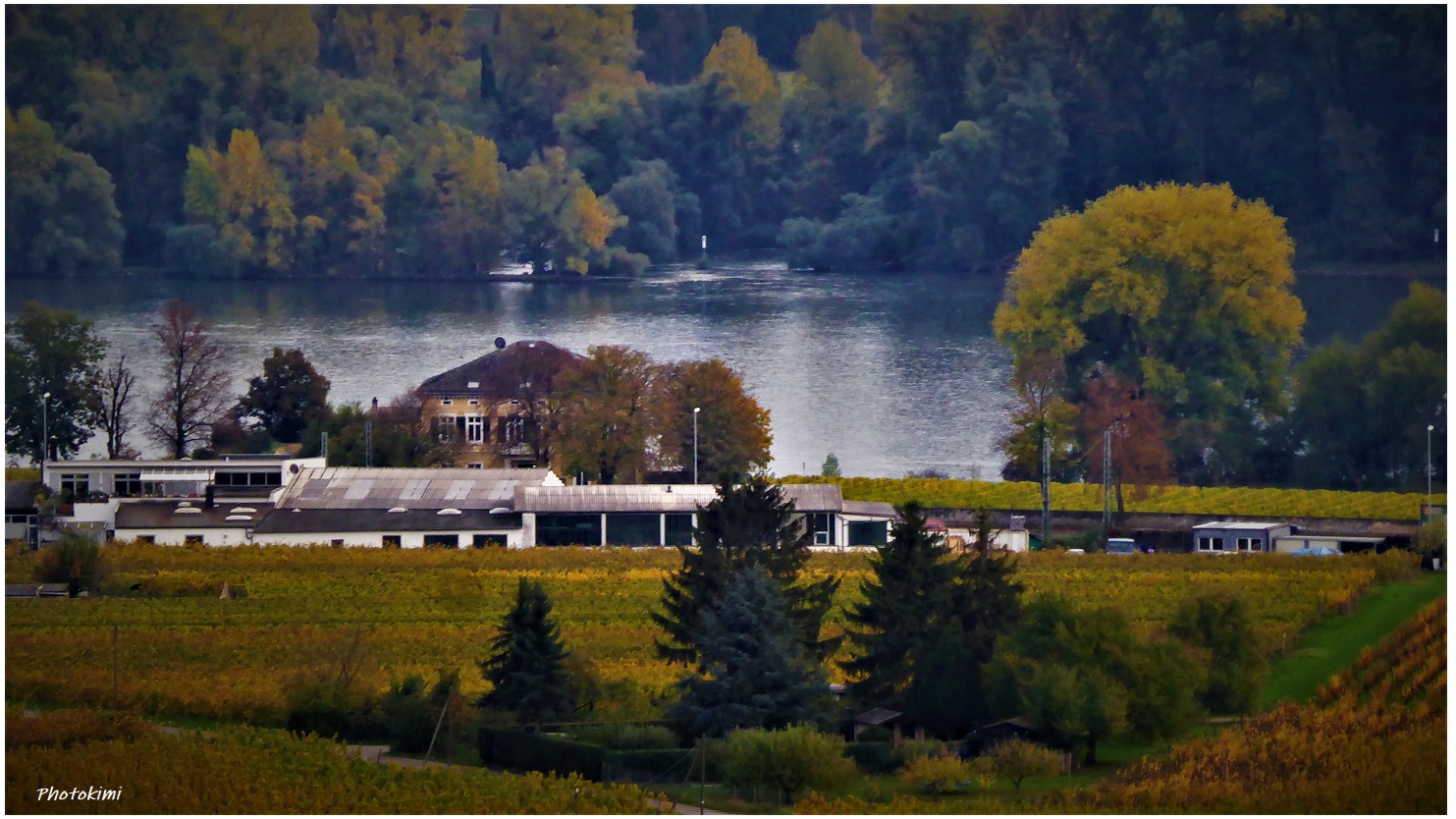Rheingau Fernsicht (II) Foto & Bild | landschaft, jahreszeiten ...