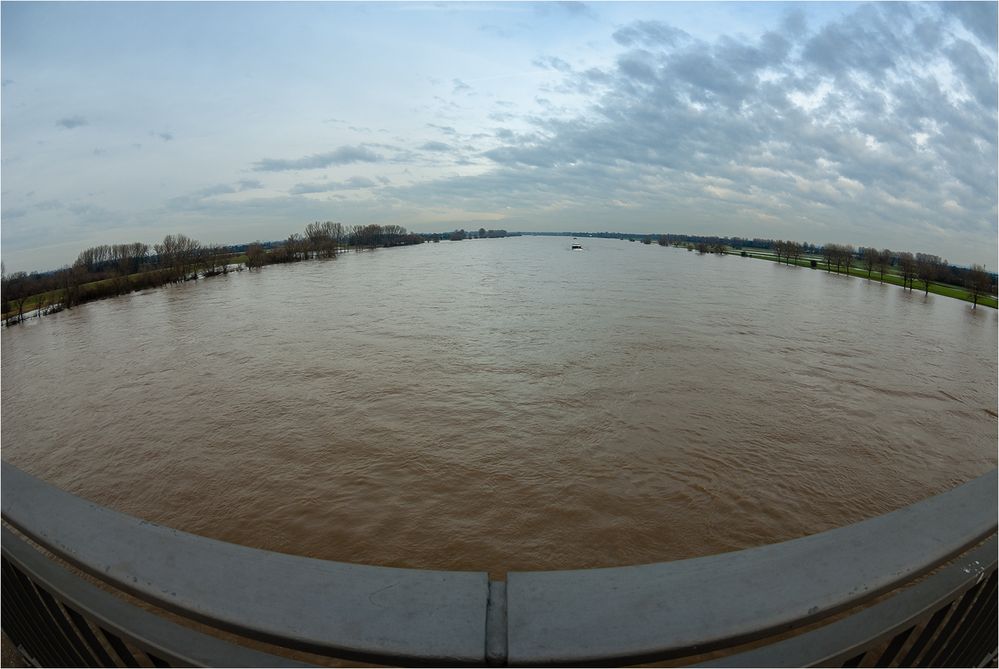 Rheinhochwasser Foto & Bild | landschaft, naturereignisse, bach, fluss & see Bilder auf ...