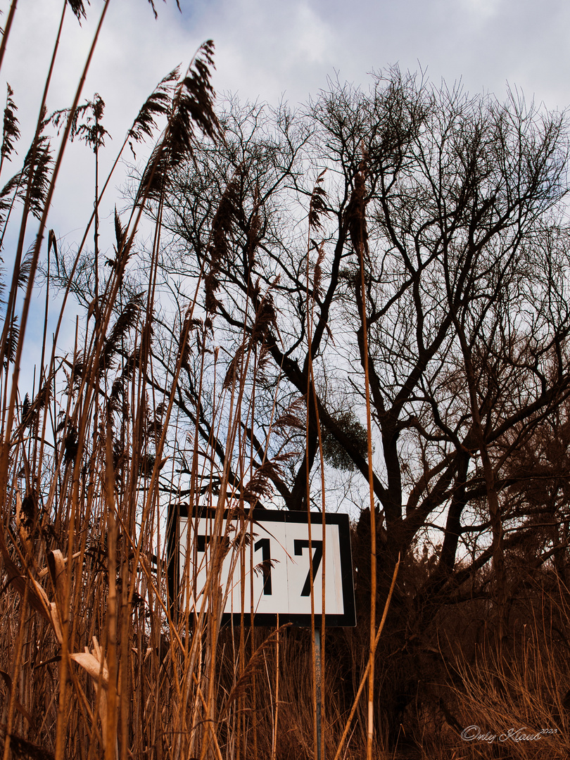 Rheinkilometer 717 Foto & Bild | landschaft, jahreszeiten, frühling ...