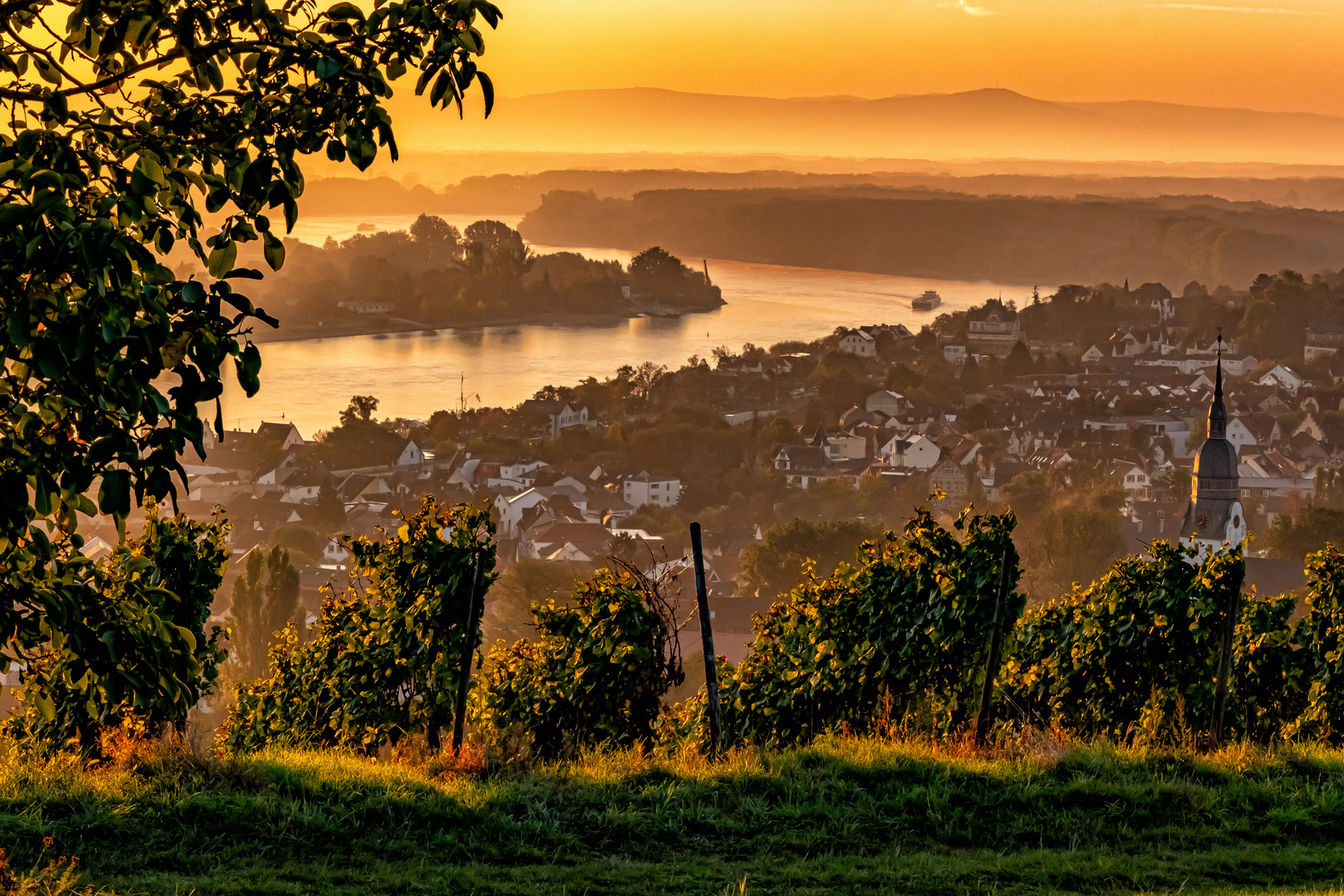Rheintal am Morgen Foto & Bild | sonnenaufgang, licht, natur Bilder auf ...