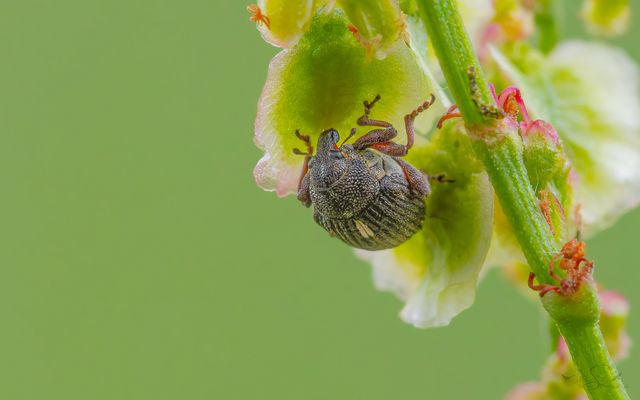 Lebensräume Bilder & Fotos