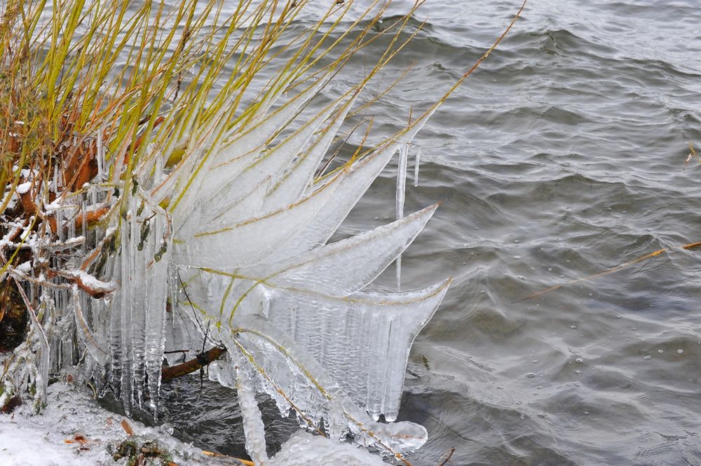 Richtig coooool....... Foto & Bild | jahreszeiten, winter, natur Bilder ...