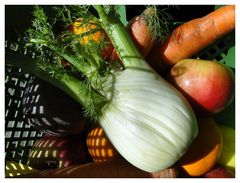 richtig lecker Foto & Bild | motive, natur Bilder auf fotocommunity