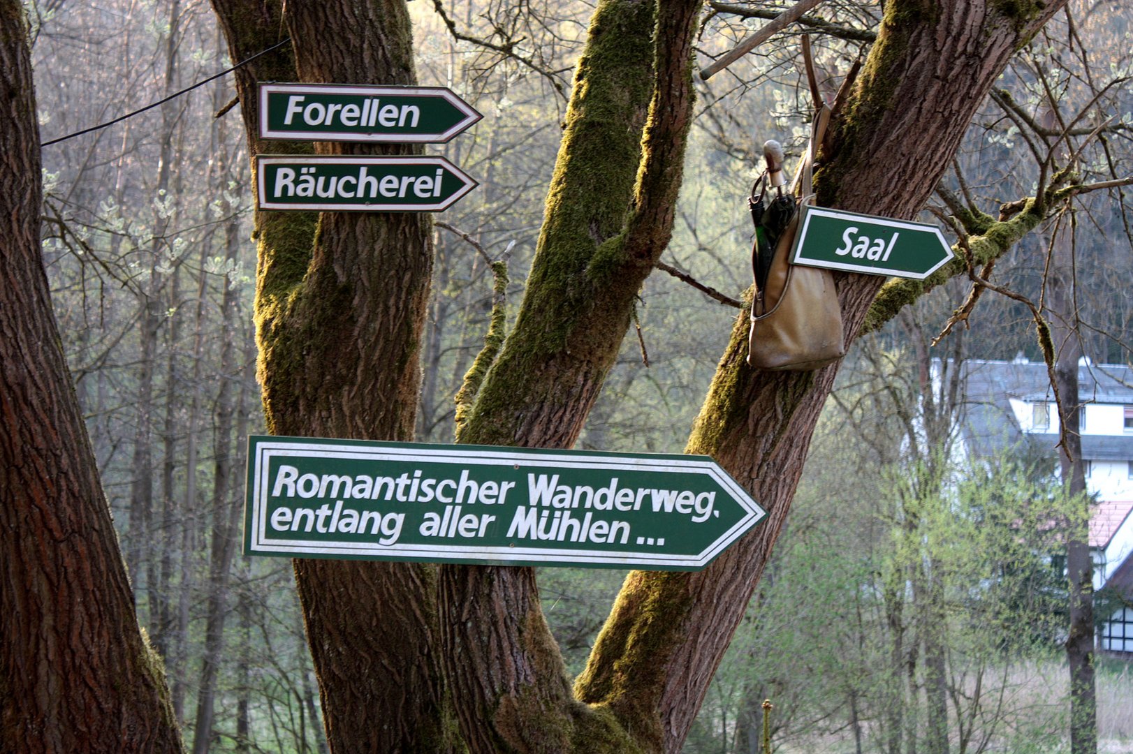 richtungsweisende Hinweise Foto & Bild | stillleben, sonstiges, straße ...