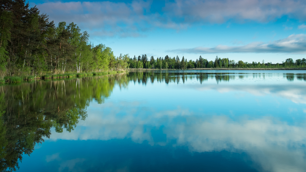 Riedsee II Foto & Bild | landschaft, bach, fluss & see, see, teich ...