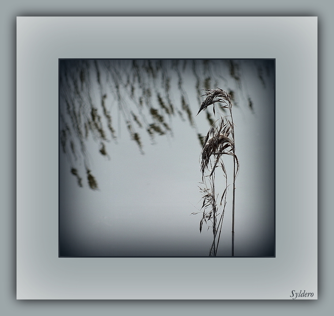 Rien photo et image | visions artistiques, sujets Images fotocommunity