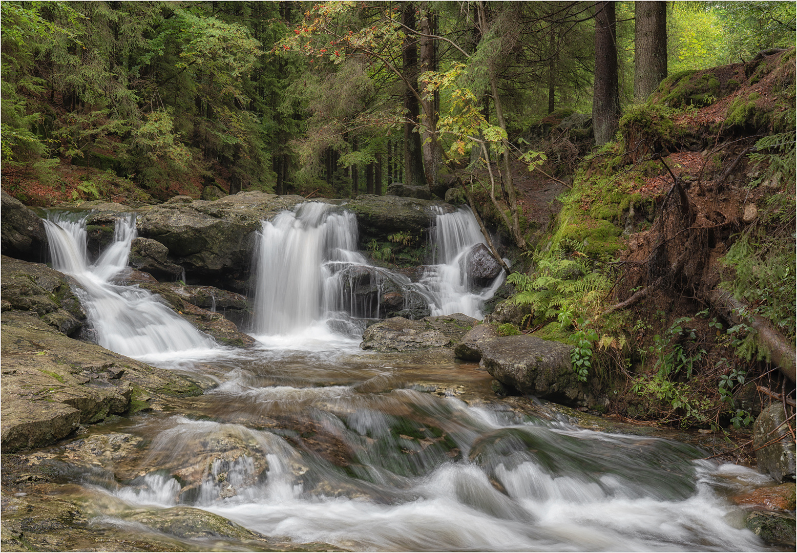 Riesbach bei Bodenmais Foto & Bild | natur, landschaft, bayern Bilder ...