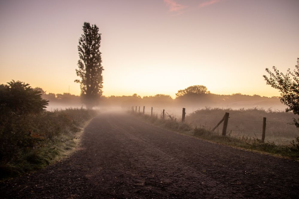 Rieselfelder Spandau Foto & Bild | berlin, natur Bilder auf fotocommunity