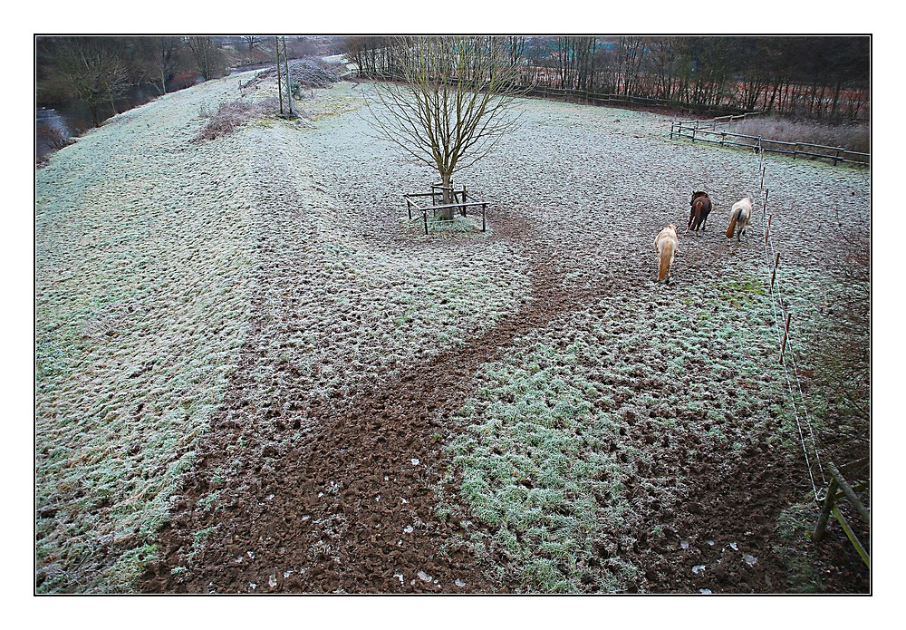 Rigge möt mer künne Foto & Bild | deutschland, europe, nordrhein ...