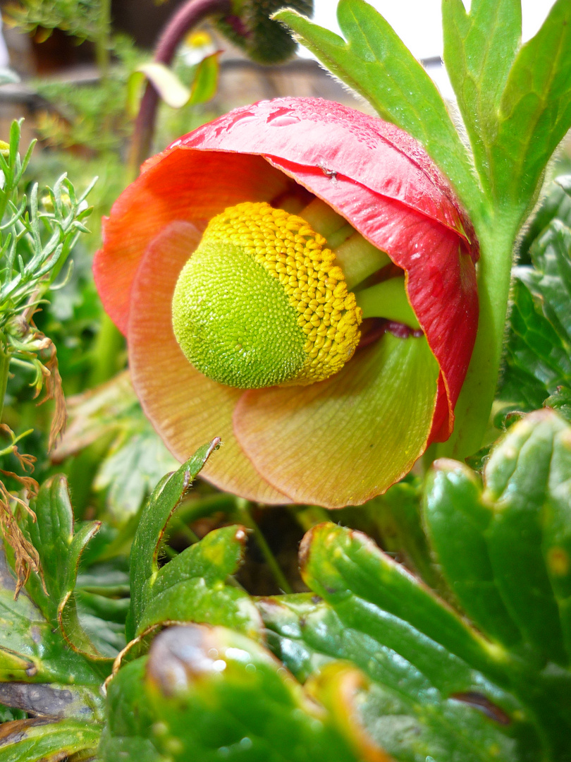 rima rima Imagen & Foto | south america, world Fotos de fotocommunity