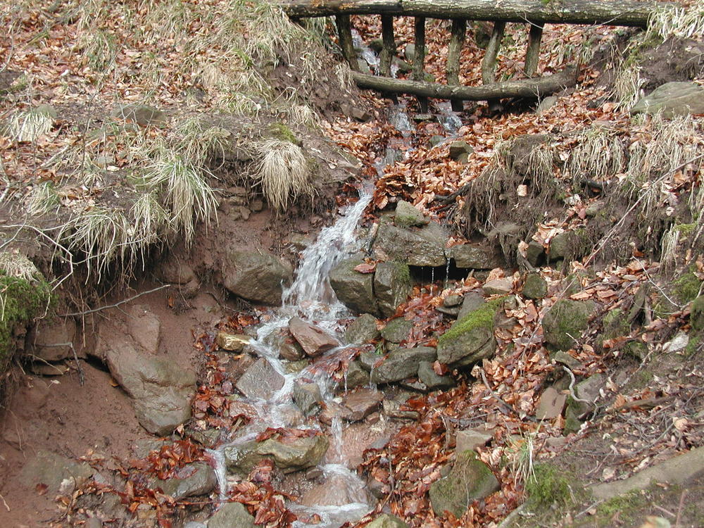 Rinnsal Foto & Bild | landschaft, bach, fluss & see, natur Bilder auf ...