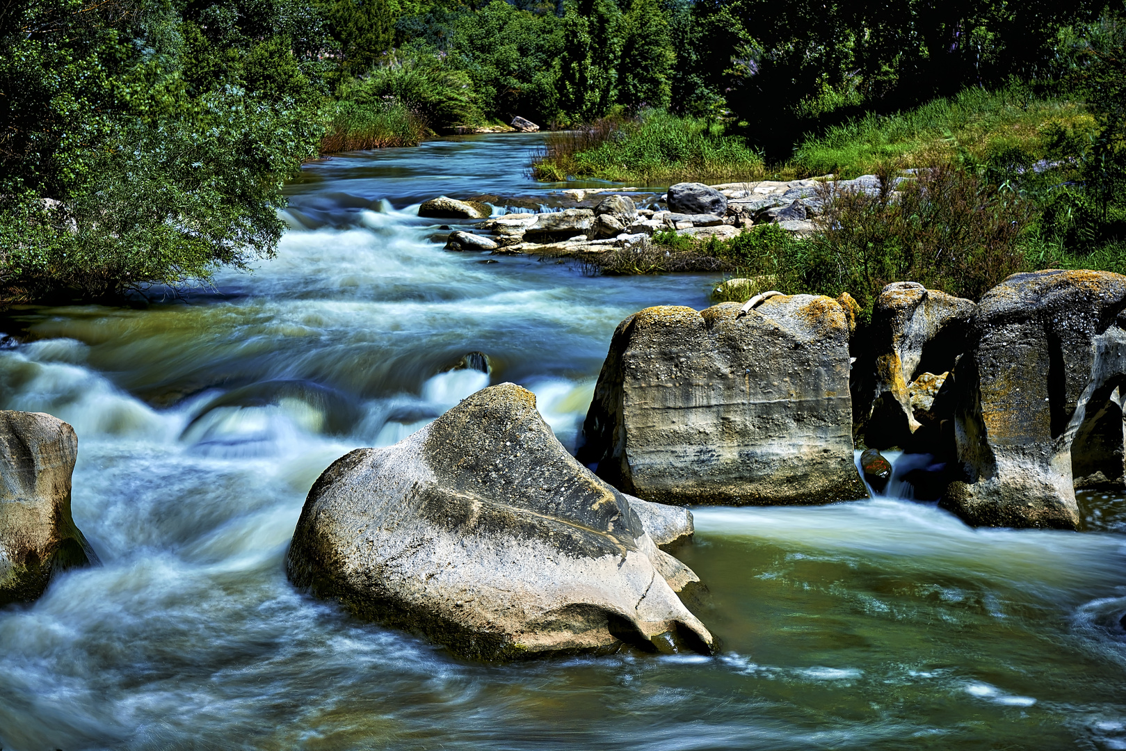 Rio Llobregat Imagen & Foto | paisajes, plantas, Árboles Fotos de ...