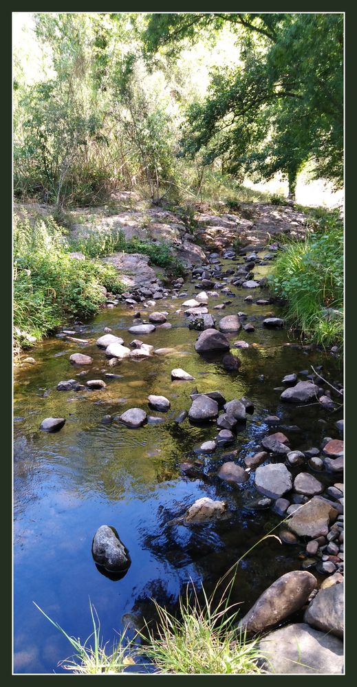 RIO TER Imagen & Foto | paisajes, ríos y cascadas, fotos Fotos de ...