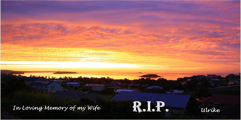 RiP Foto & Bild | spezial Bilder auf fotocommunity