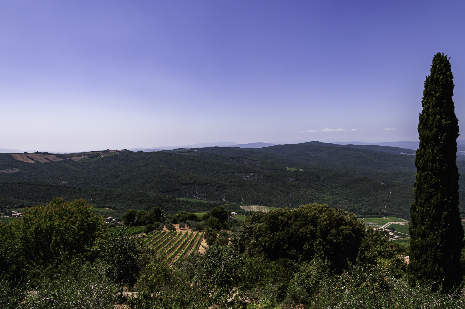 Riserva Naturale Basso Merse Foto & Bild | world, wald, dokumentation ...