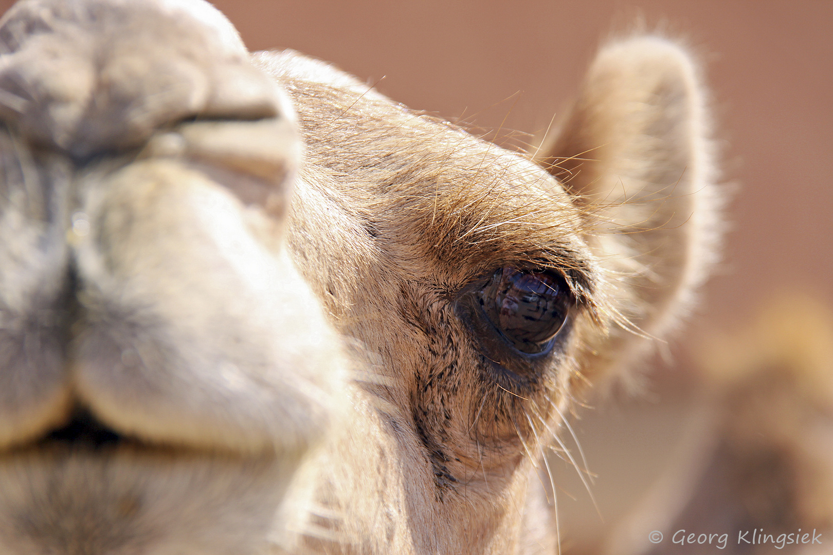 Riskieren wir nun mal einen Blick in eine fremde Welt Foto & Bild ...