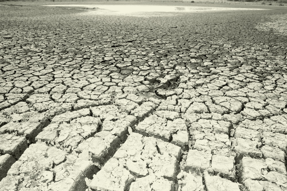 Risse Foto & Bild | landschaft, Äcker, felder & wiesen, natur Bilder ...