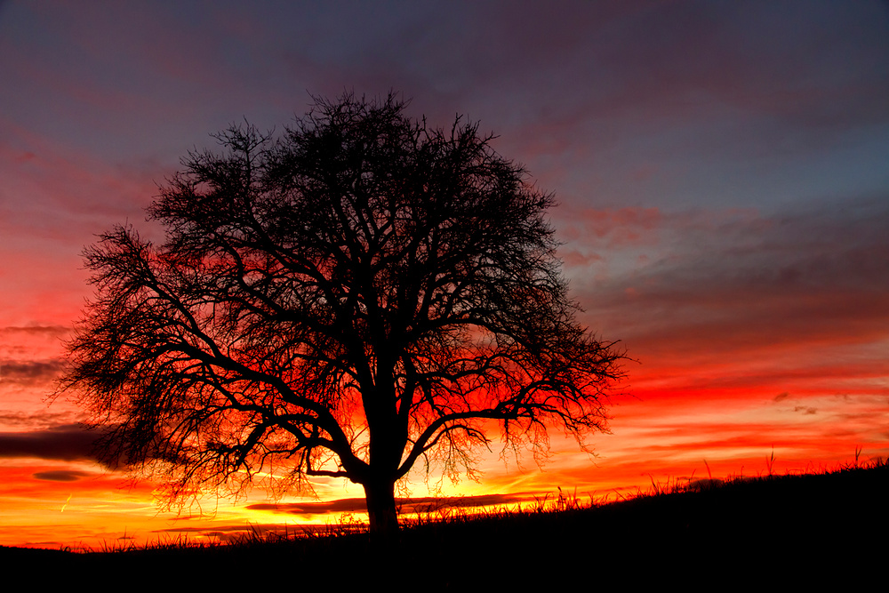 Ritsch Ratsch Foto & Bild | deutschland, europe, baden- württemberg ...