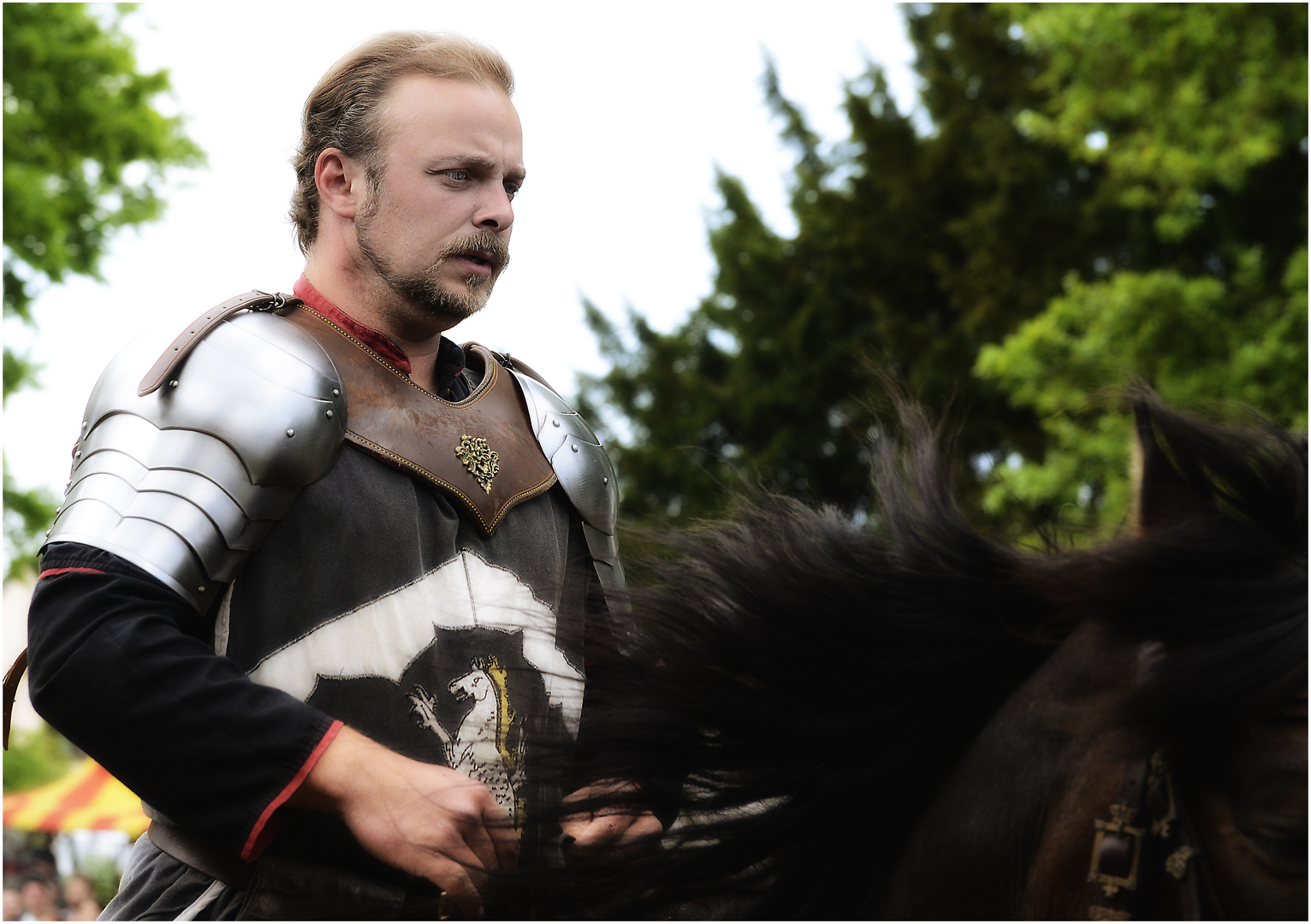 Ritter Foto & Bild | fotokunst, color fine art, portraits Bilder auf ...