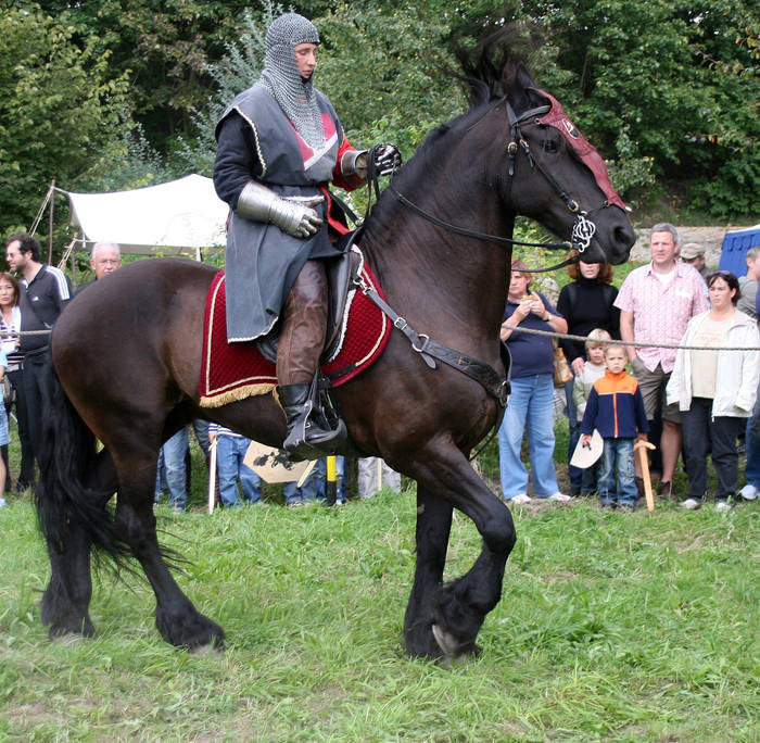 Ritterpferd Teil 1 Foto & Bild | kunstfotografie & kultur, ritterspiele ...