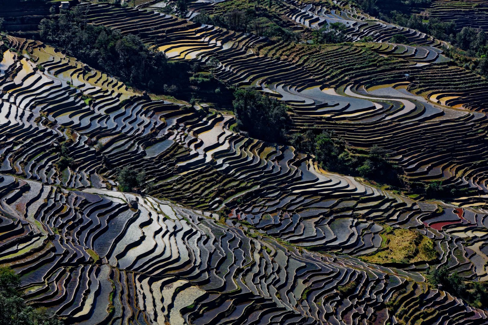 Rizières en terrace de Yuanyang, Yunnan, Chine. photo et image | world ...
