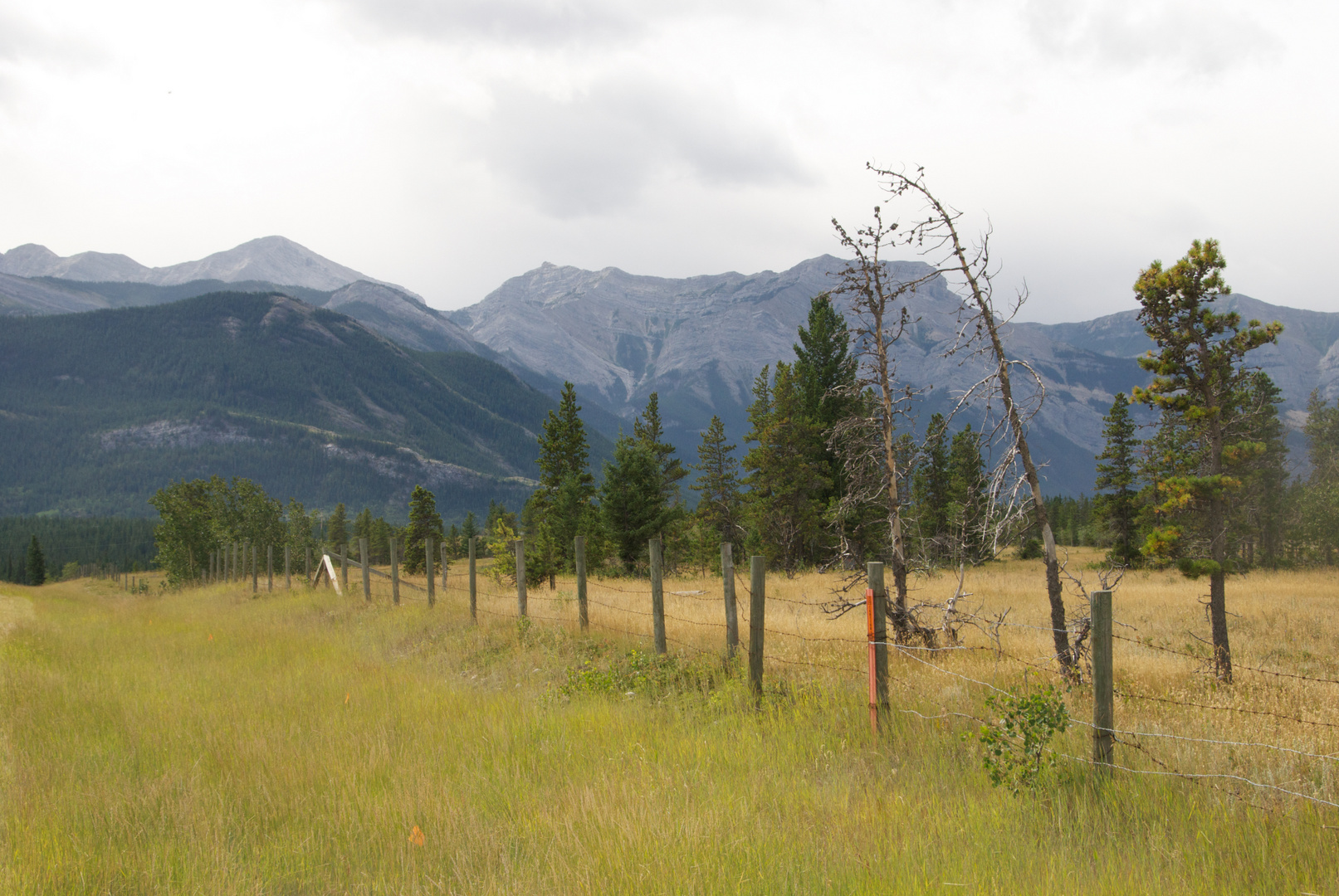 Rocheuses Canadiennes 1 photo et image | paysages, paysages de montagne ...