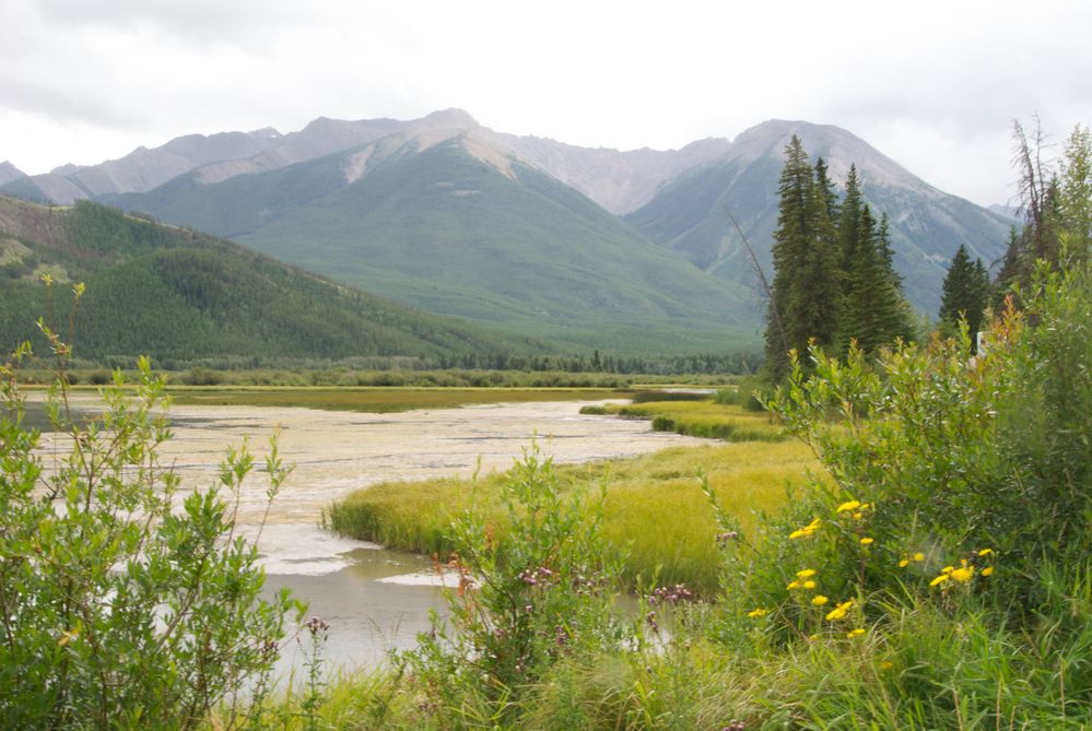 Rocheuses Canadiennes 2 photo et image | paysages, paysages de montagne ...