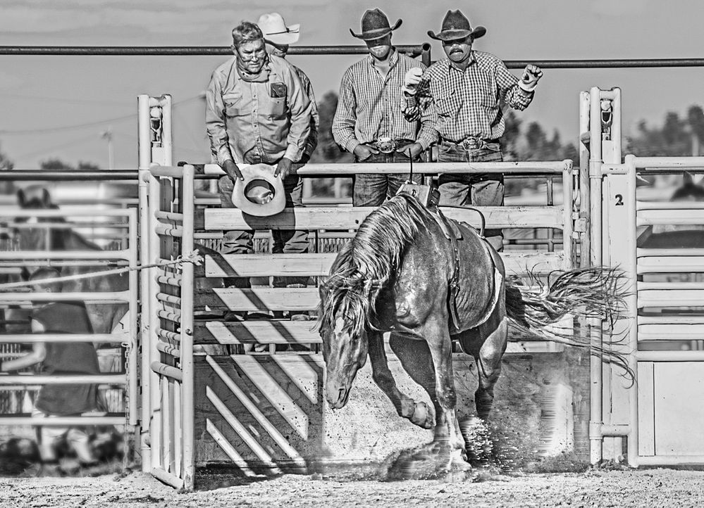 Rodeo Foto & Bild | usa, world, cowboy Bilder auf fotocommunity