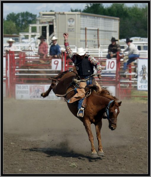 Rodeo Foto & Bild | north america, canada, world Bilder auf fotocommunity