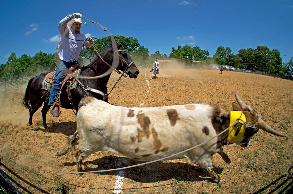 Rodeo Foto & Bild | archiv, a r c h i v aktuell, facetten des sports ...