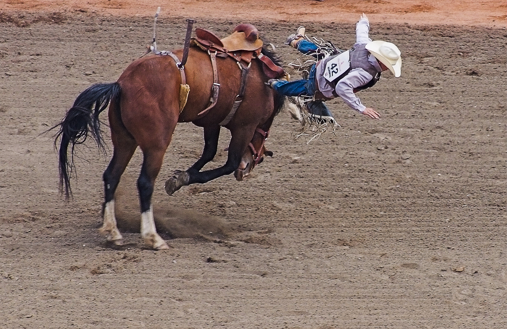 Rodeo Foto & Bild | reportage dokumentation, north america, canada ...
